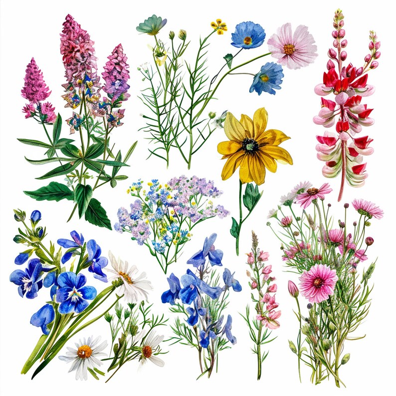 Watercolor, Clip Art, PNG, Wildflowers, Flower Arrangement, Home Decor ...