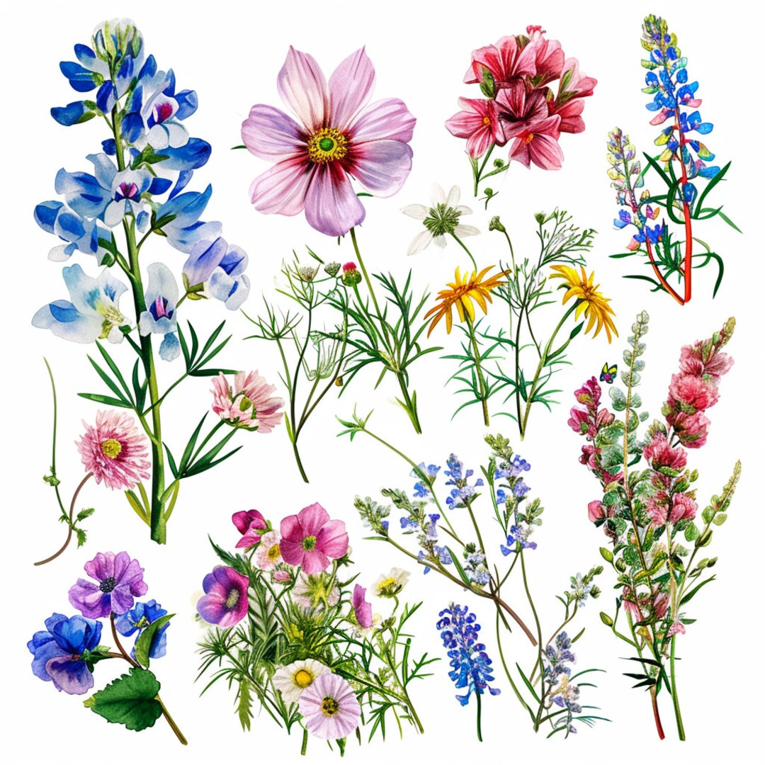 Watercolor, Clip Art, PNG, Wildflowers, Flower Arrangement, Home Decor ...