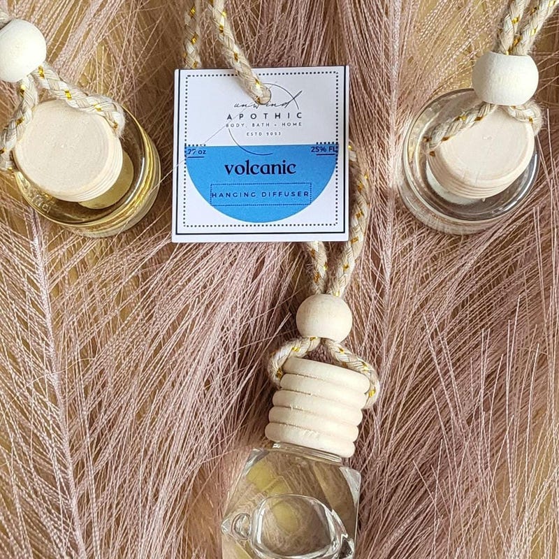 Car Flower Air Diffusers - Etsy