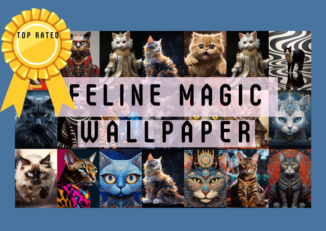 Feline Magic Screen Wall Papers - 330 + Super Powered Cats Wallpaper ...