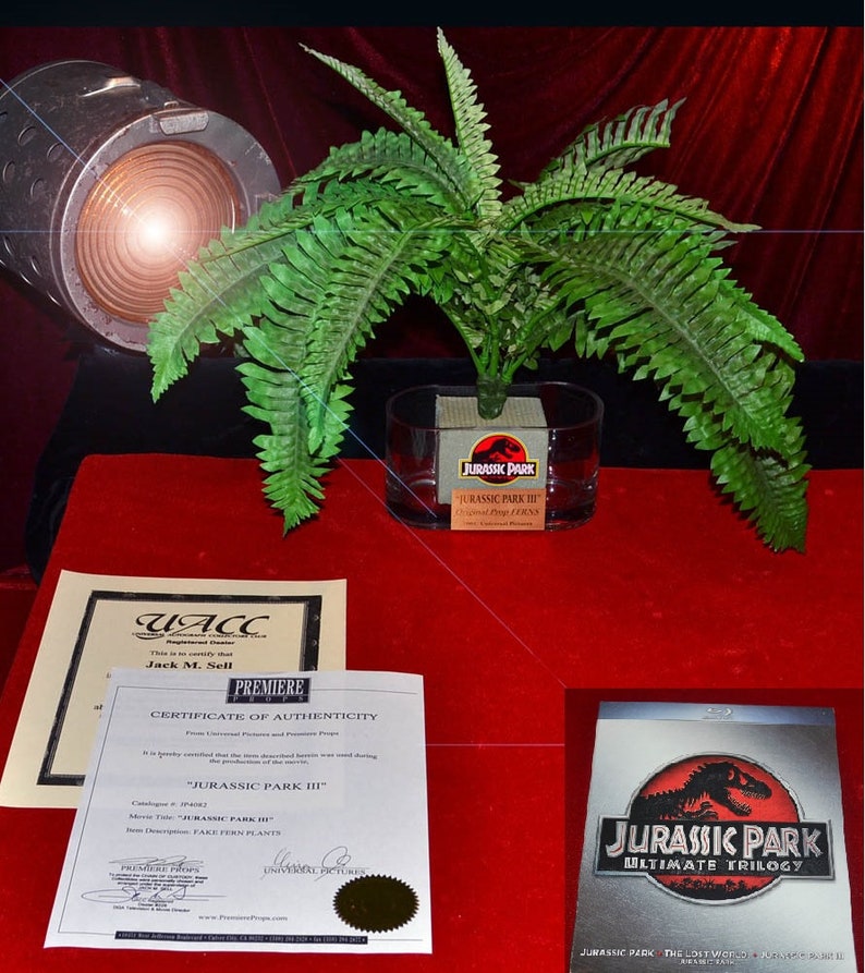 JURASSIC PARK Screen-used Prop FERNS in Vase, Plaque, Logo, Coa, Dvd ...