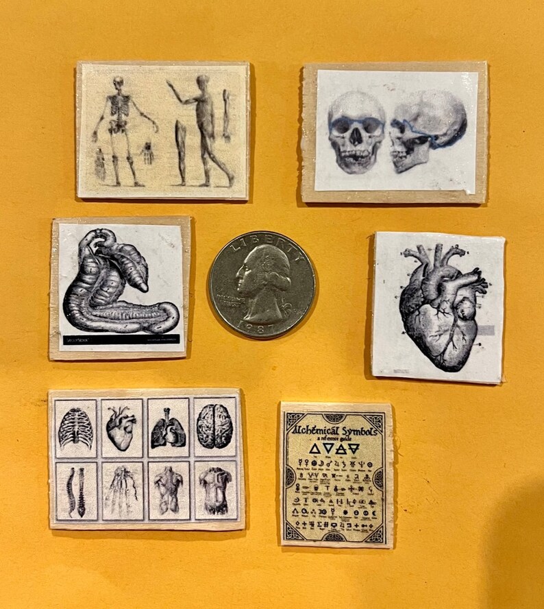 Anatomy/alchemy 1:12 Scale Miniature Prints - Etsy