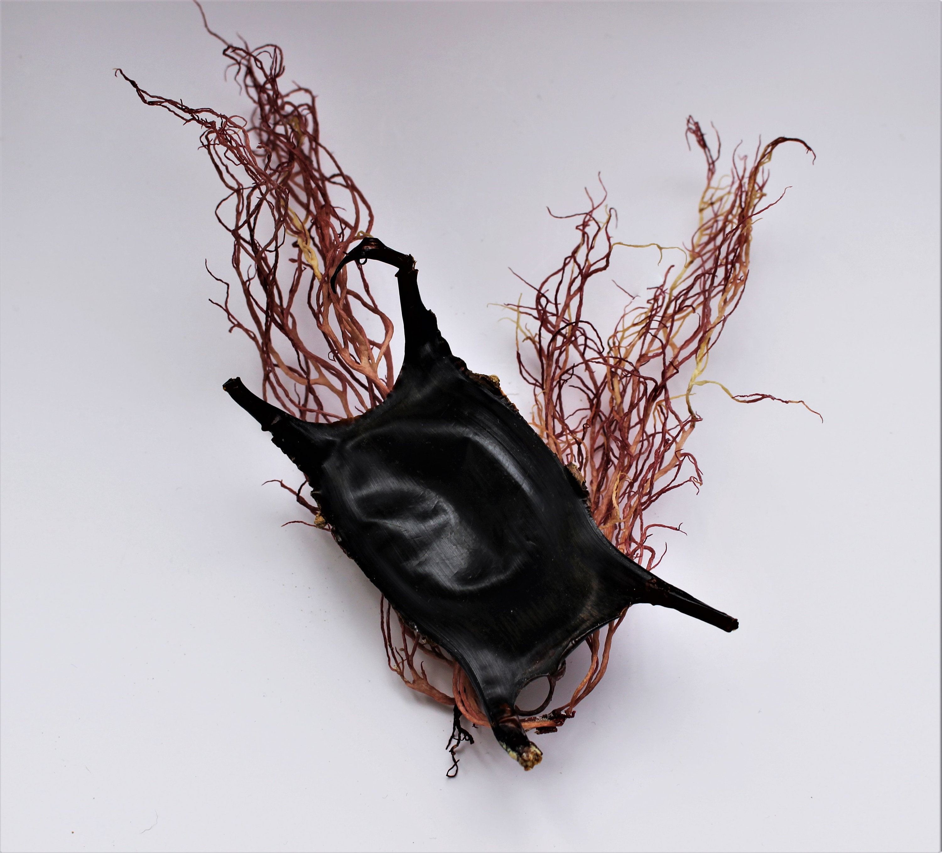 MERMAID PURSES: Embrace the Magic of Nature, the Beach, and Marine Life ...