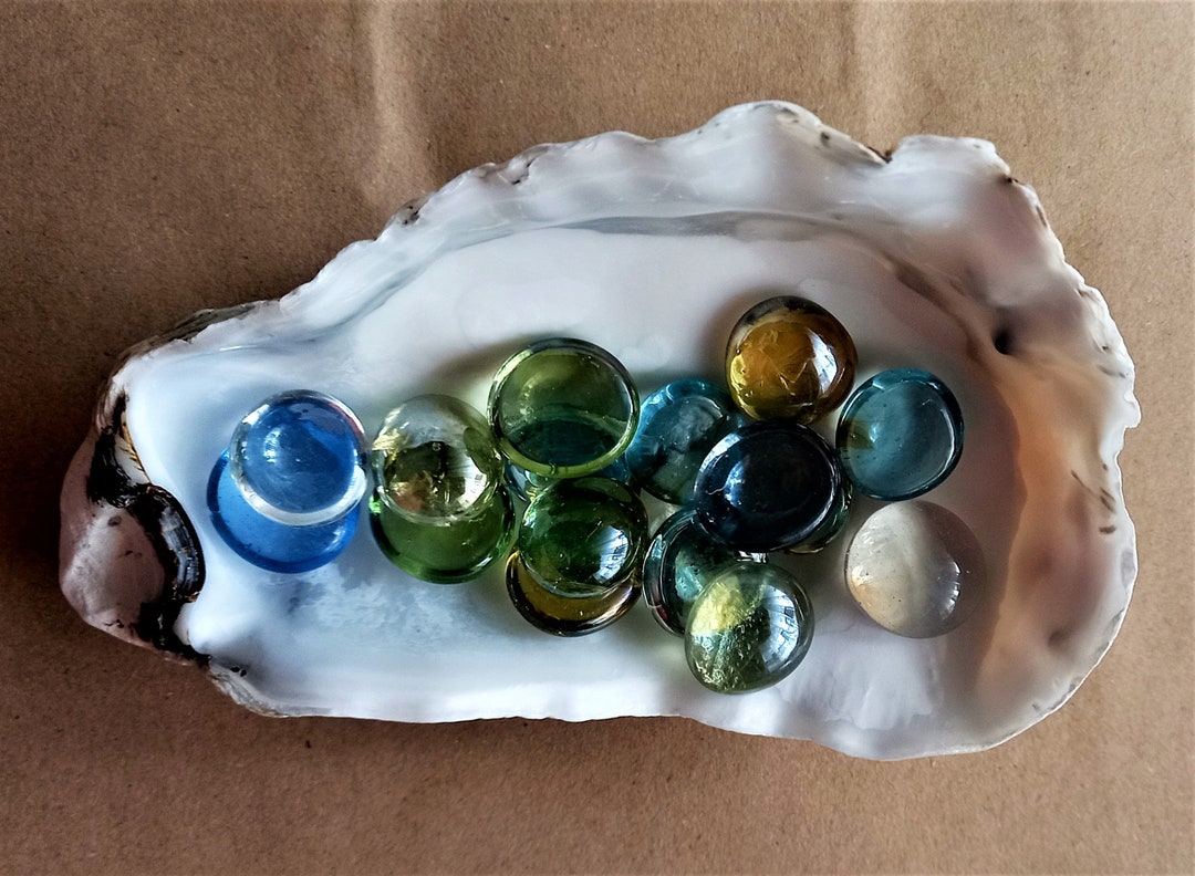 LARGE OYSTER SHELL. Bivalves. Seashells. Bathroom Decor. Treasures of ...