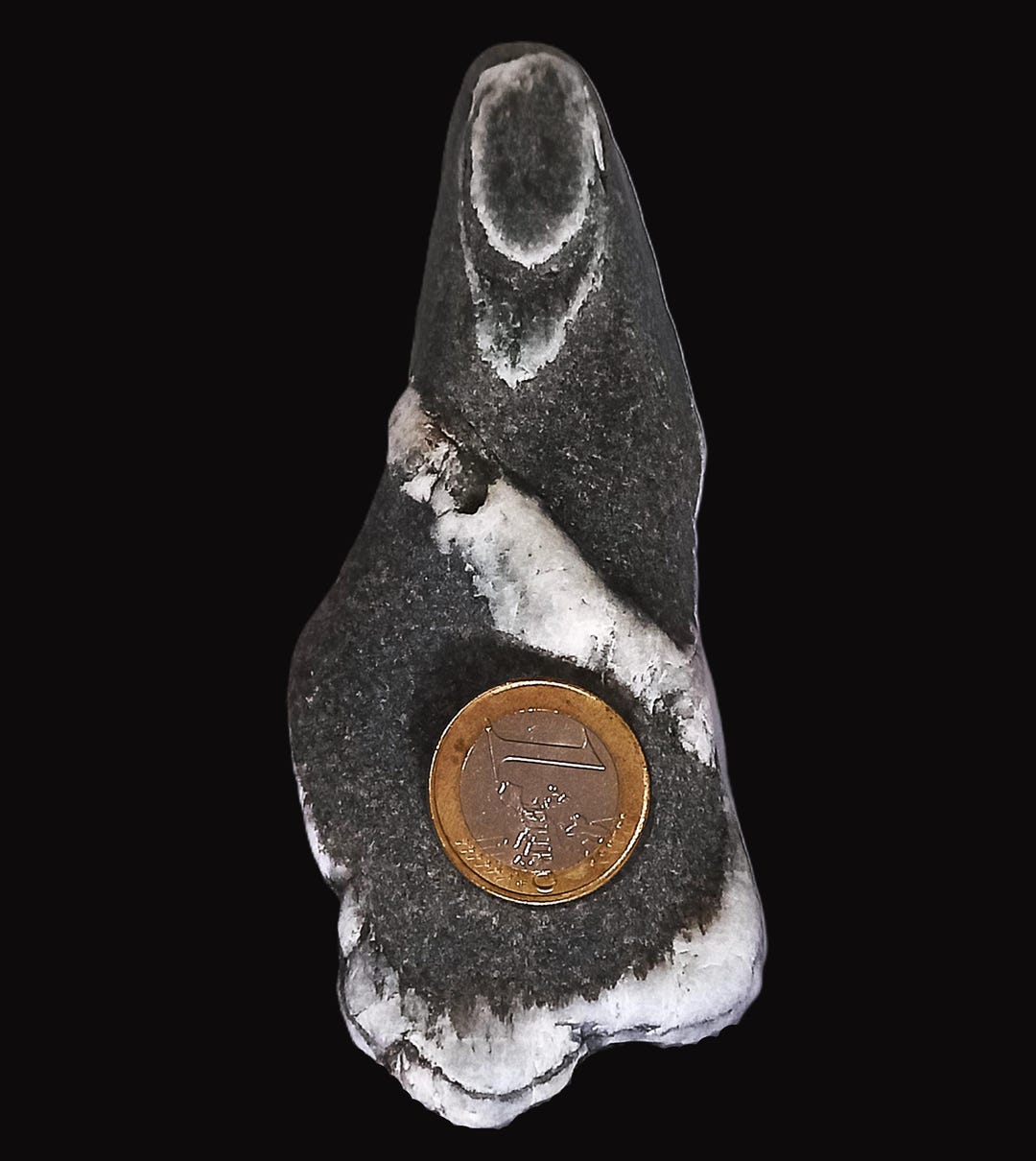 STONE FOOT: Lucky Stone in the Shape of a Foot. Ideal as an Original ...