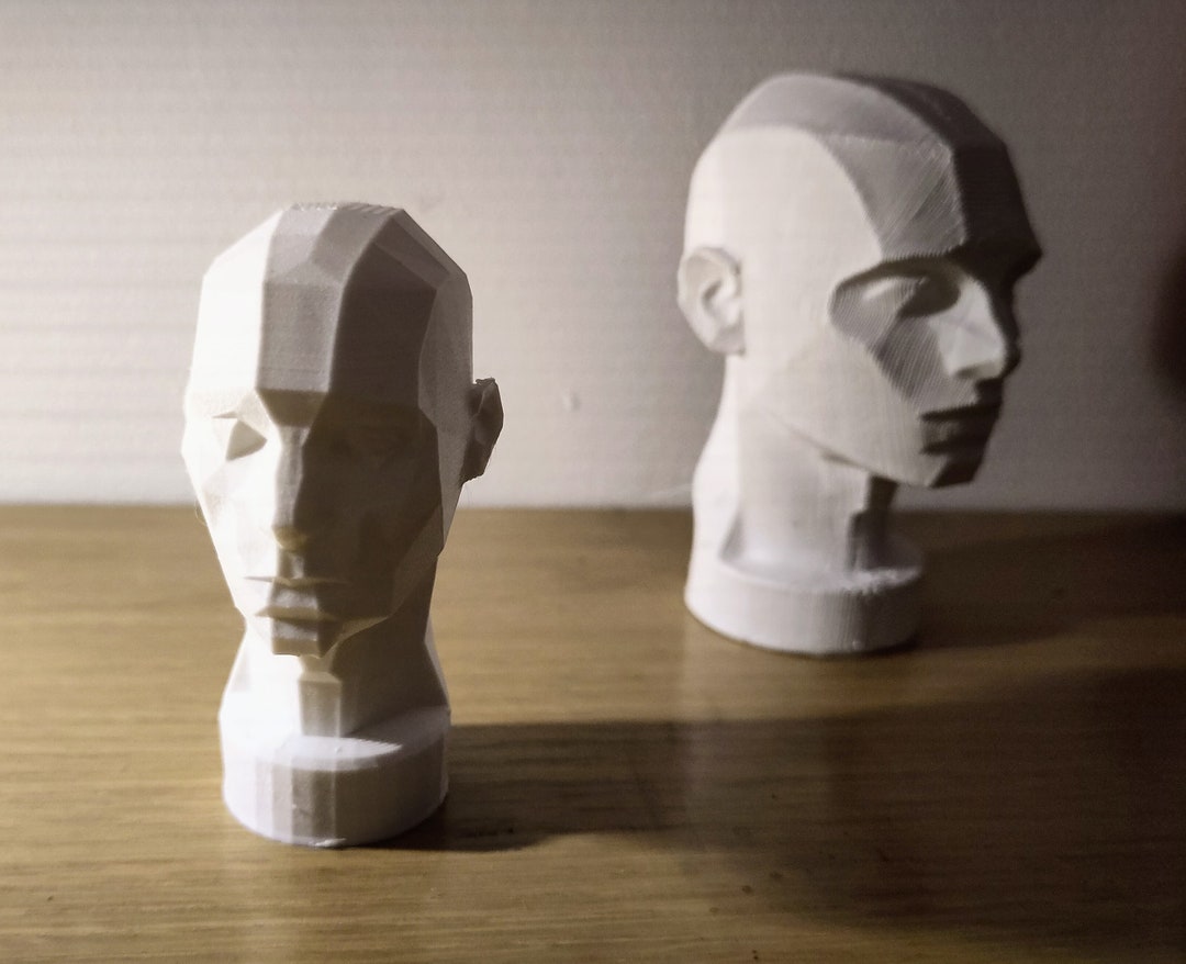 Asaro Head Asaro Head for Drawing Practice - Etsy