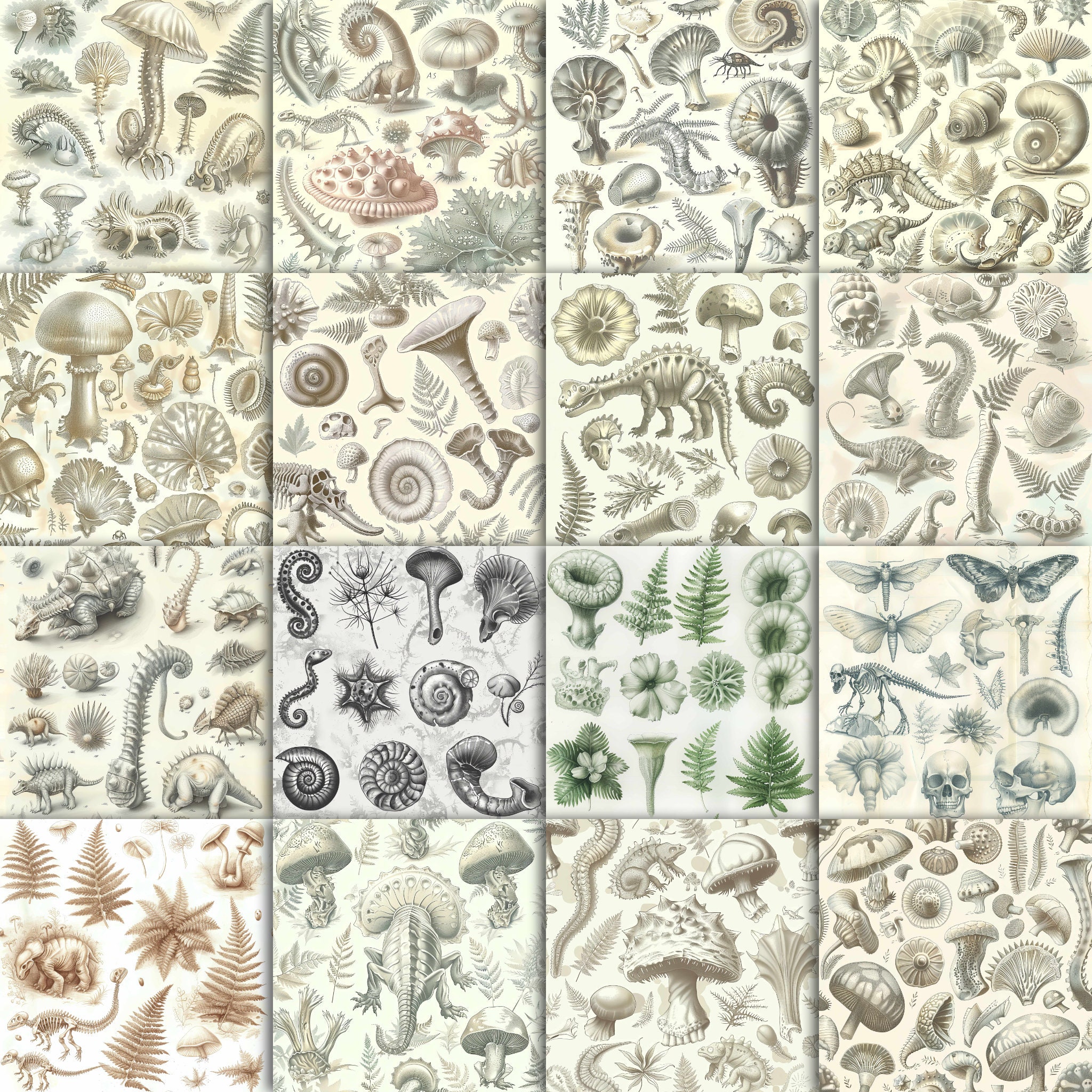 Vintage Fossils Digital Paper 1 - Etsy