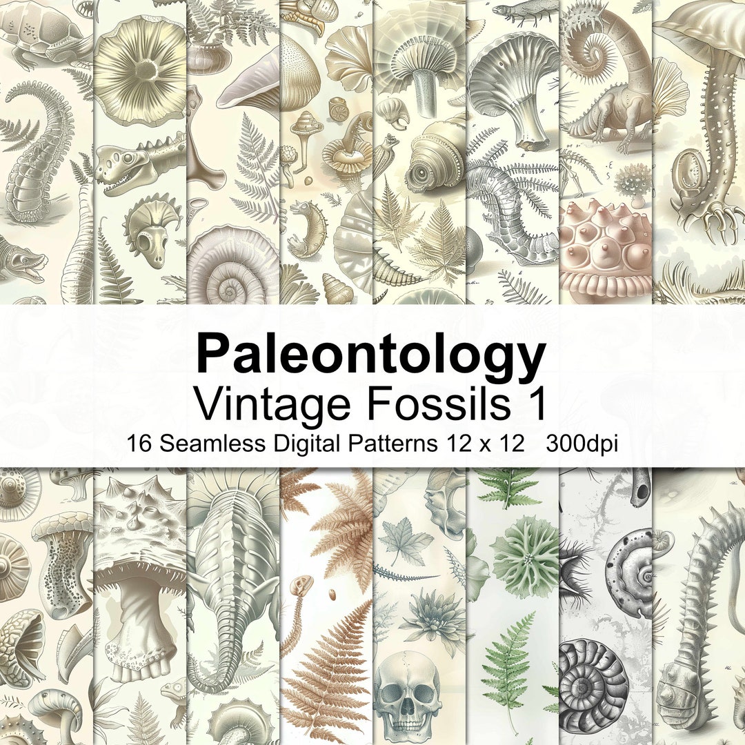 Vintage Fossils Digital Paper 1 - Etsy