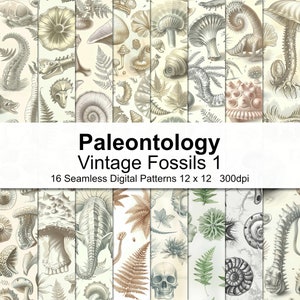 Vintage Fossils Digital Paper 1 - Etsy