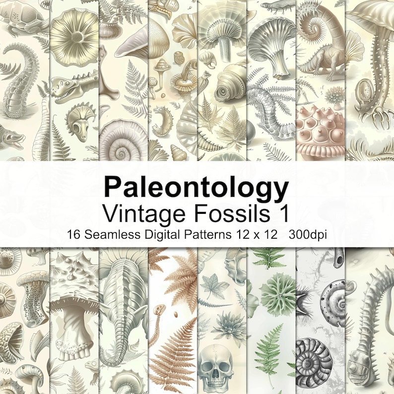 Vintage Fossils Digital Paper 1 - Etsy