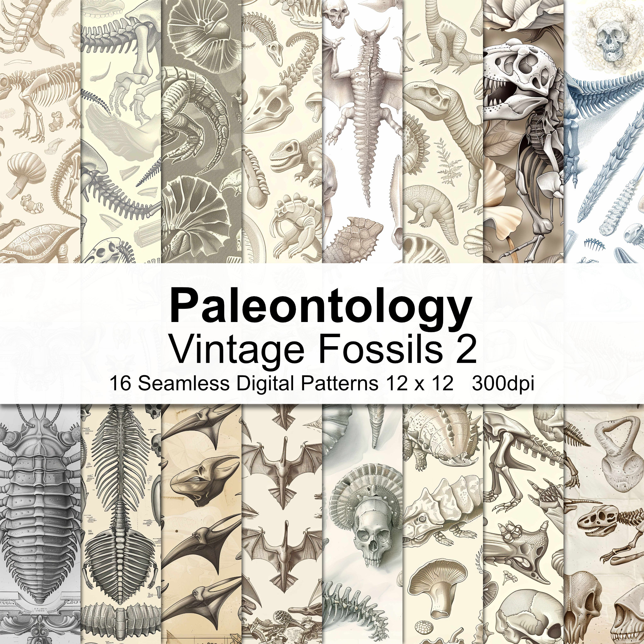 Vintage Fossils Digital Paper 2 - Etsy