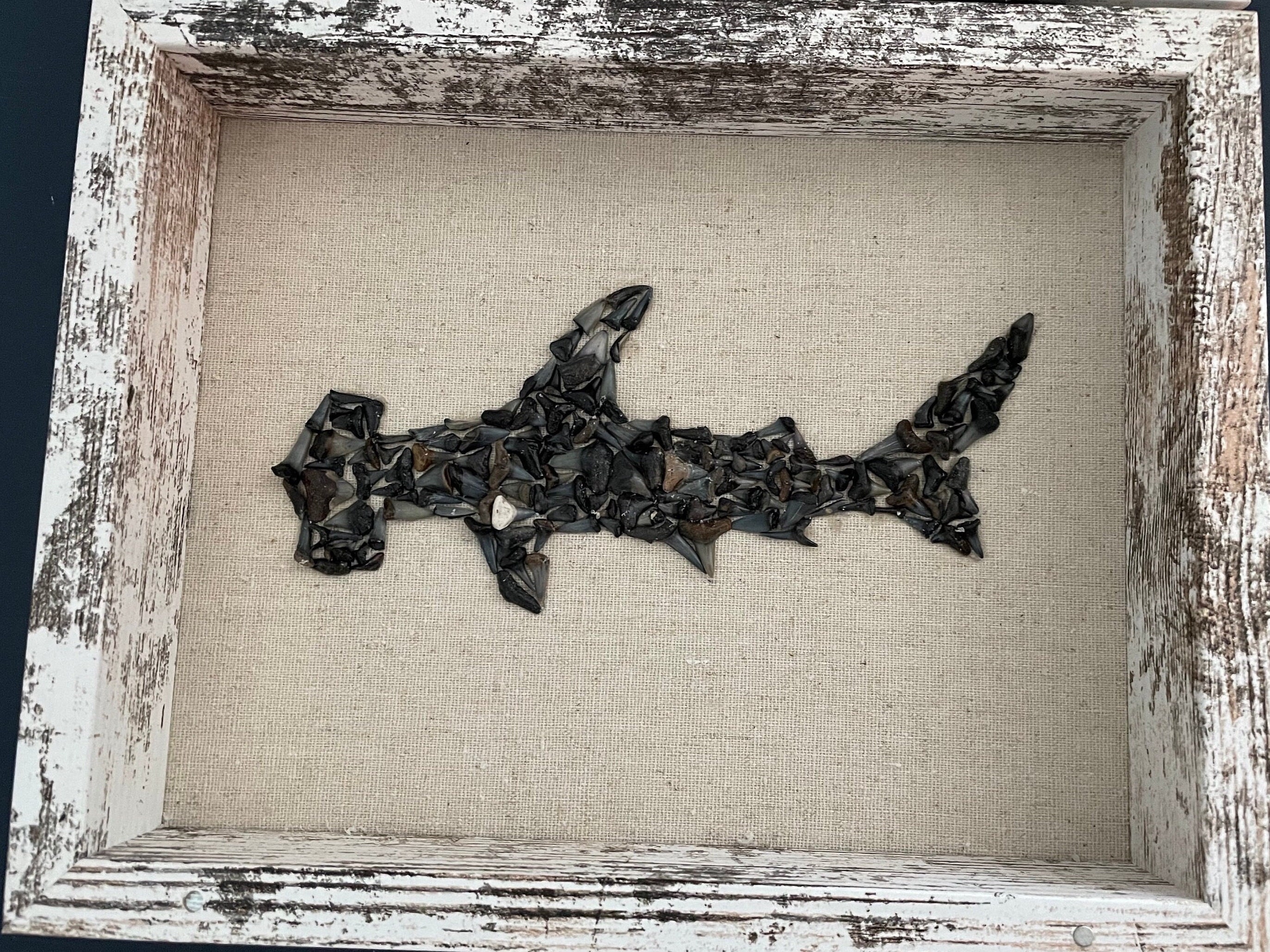 Shark Tooth Art - Etsy
