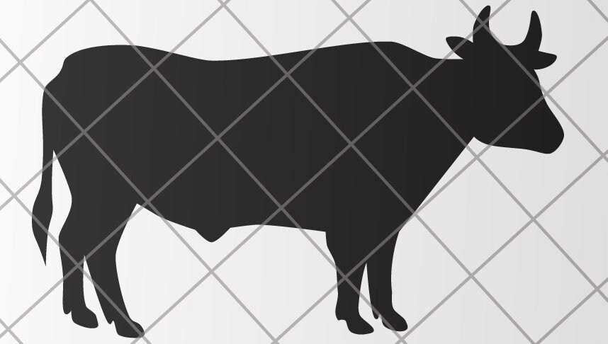4 Bull Vector - SVG, PNG, File Digital Download - Etsy