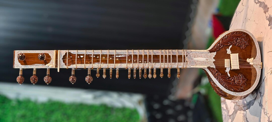 Professional Ravishankar Style Sitar With Hard Case - Etsy