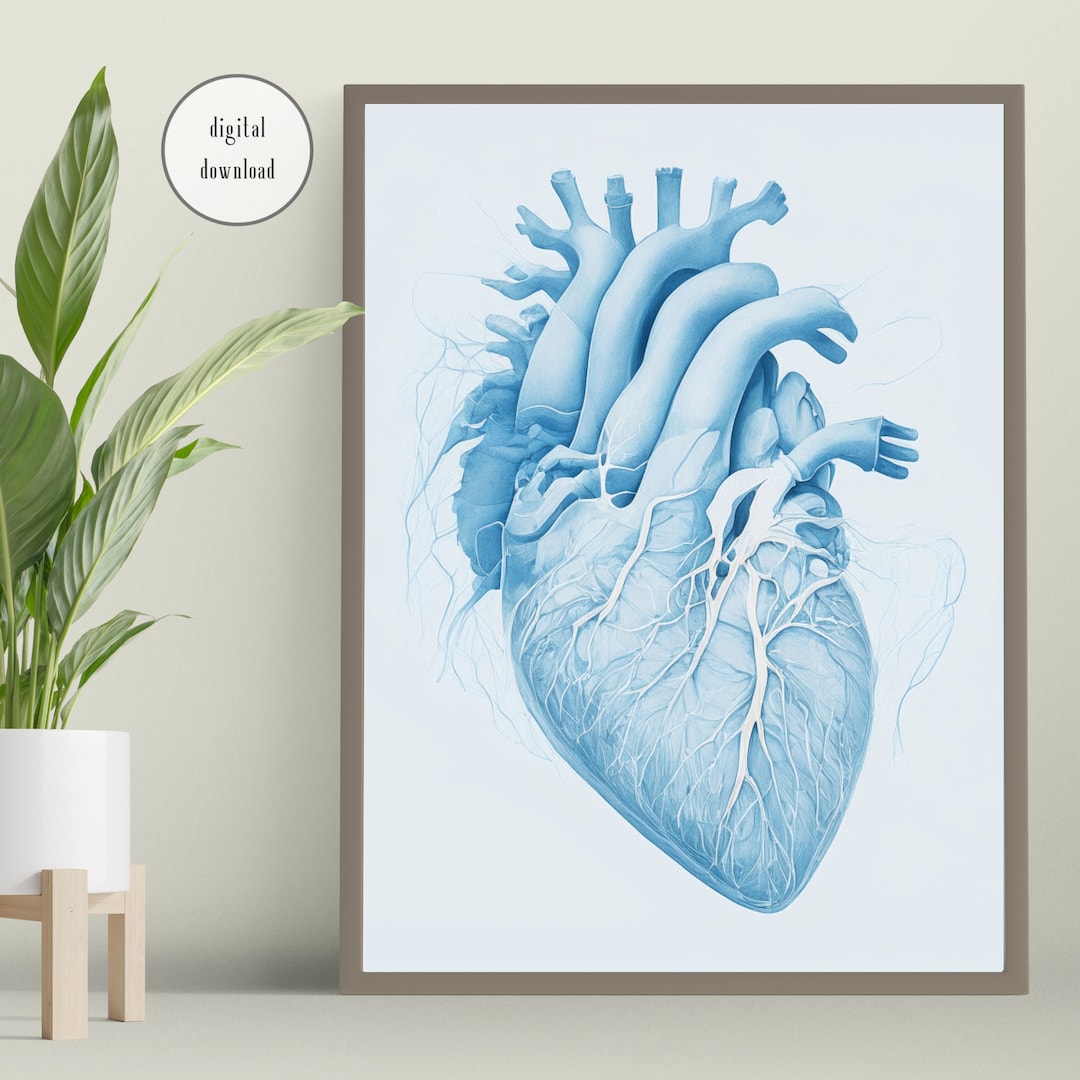 Heart Anatomy Wall Art. Blue Heart. Poster. Digital Download. Human ...