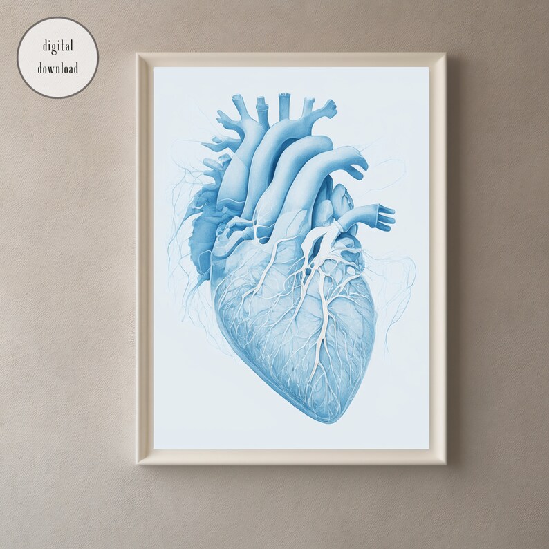 Heart Anatomy Wall Art. Blue Heart. Poster. Digital Download. Human ...