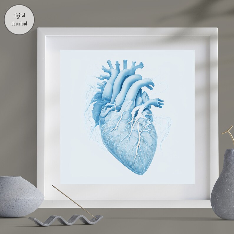 Heart Anatomy Wall Art. Blue Heart. Poster. Digital Download. Human ...