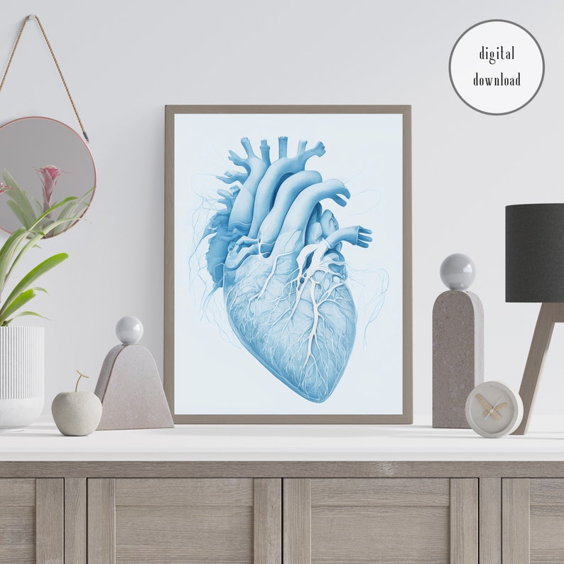 Heart Anatomy Wall Art. Blue Heart. Poster. Digital Download. Human ...