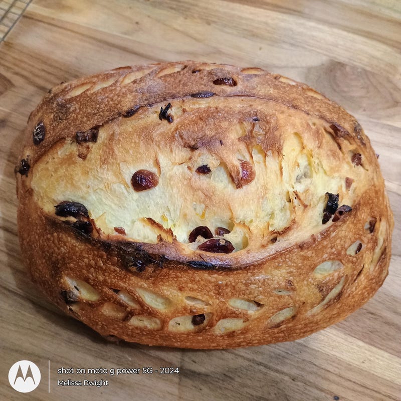 Fruit Cake Bread Recipe Etsy 3046