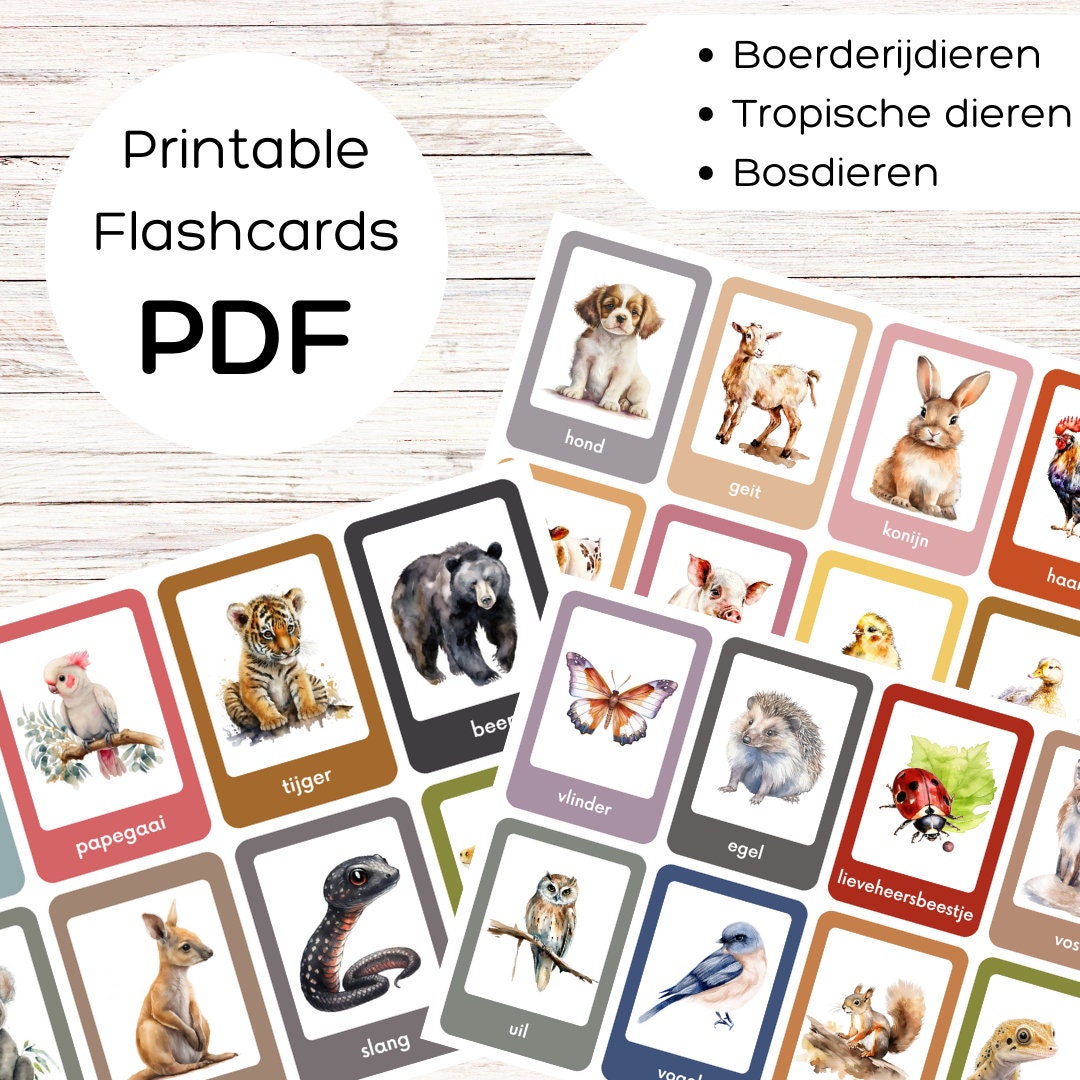 Animals Printable Flashcards Dutch - Etsy