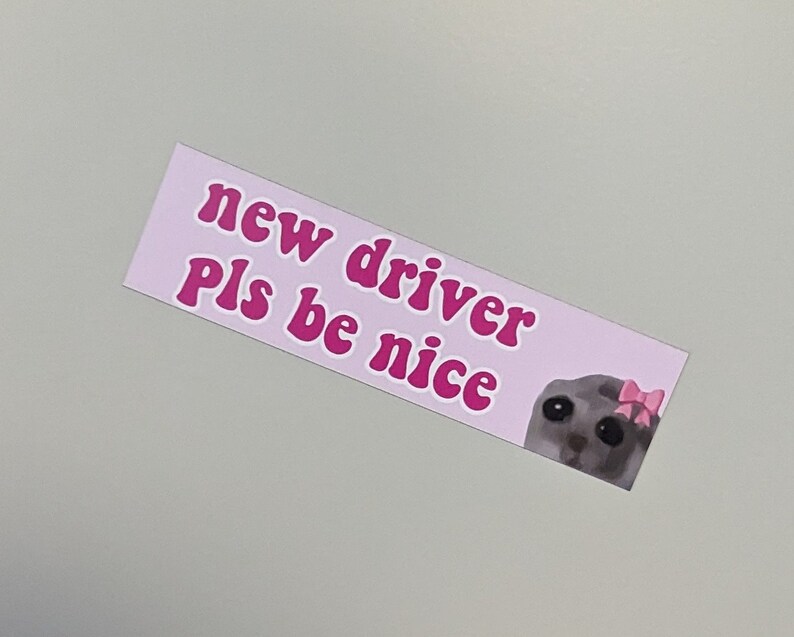 Magnetic Bumper Magnet New Driver Pls Be Nice Sad Cat Magnet for Car ...