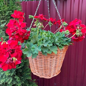 Wicker Flower Girl Basket, Hanging Plant Basket, Outdoor Plant Stand ...