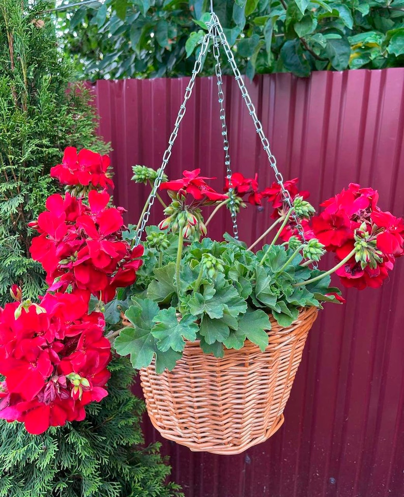 Wicker Flower Girl Basket, Hanging Plant Basket, Outdoor Plant Stand ...