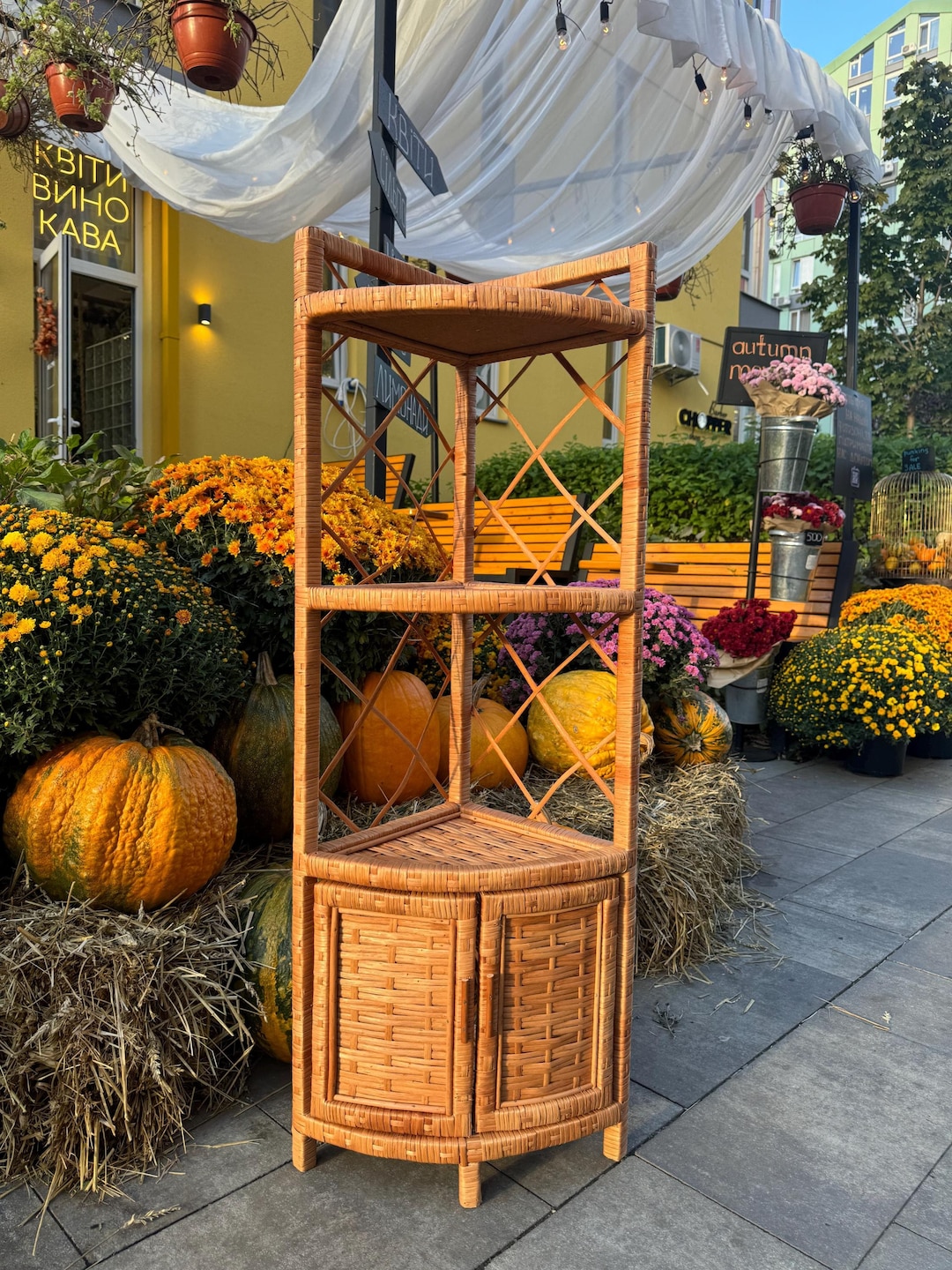 Wicker Corner Shelf Rattan Cabinet With Doors Bookcase Handmade Rattan ...