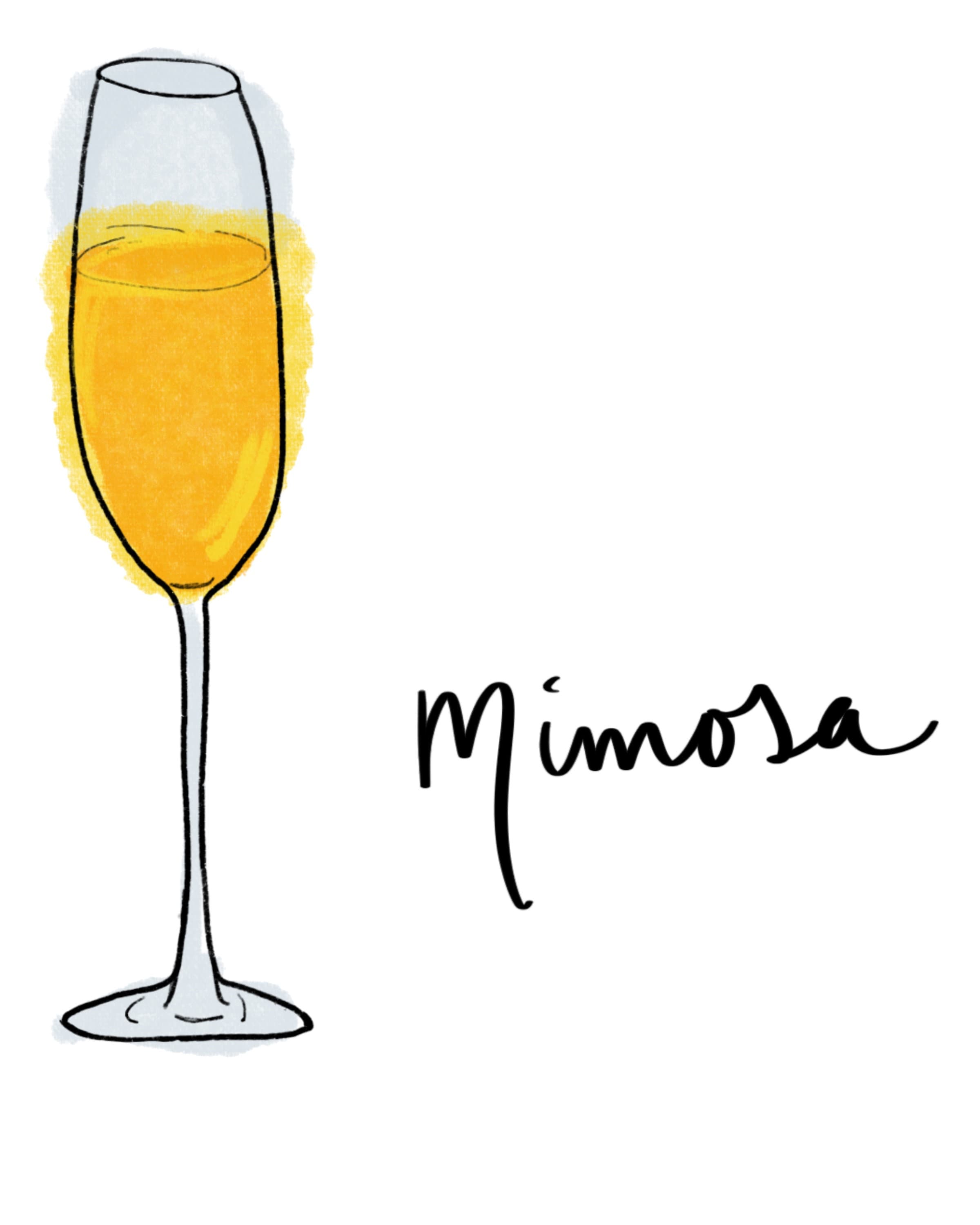 Mimosa Drawing