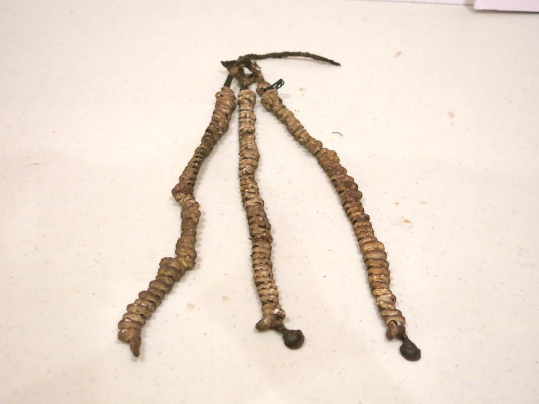 Kamba Triple Strand Cowrie Shell Money Necklace - Etsy