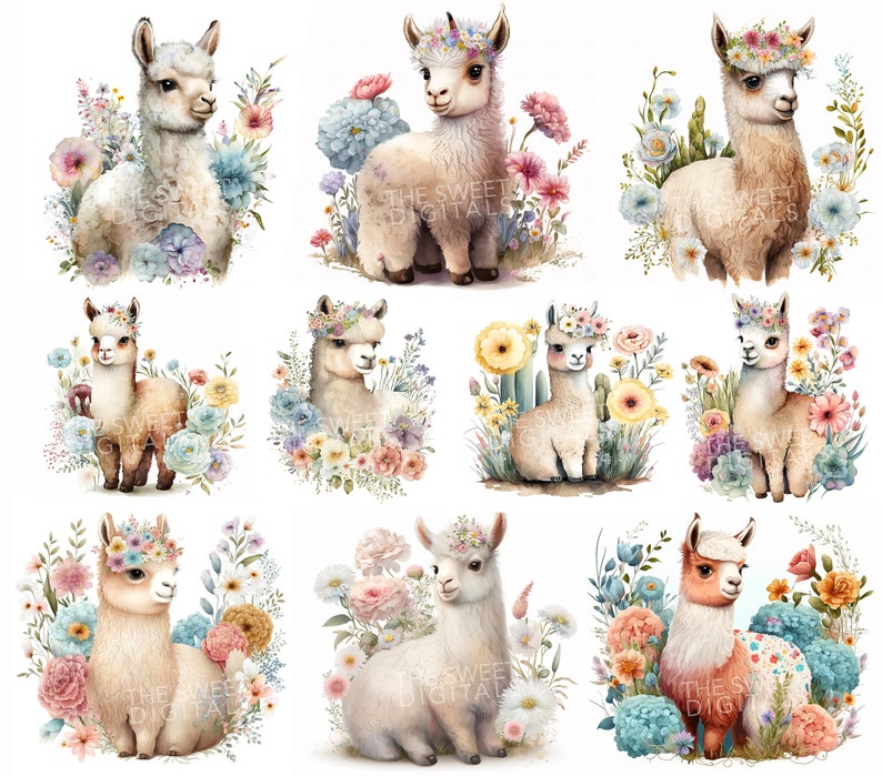 Watercolor Llamas, Clipart Pack, Baby Llamas, Clip Art for Commercial ...