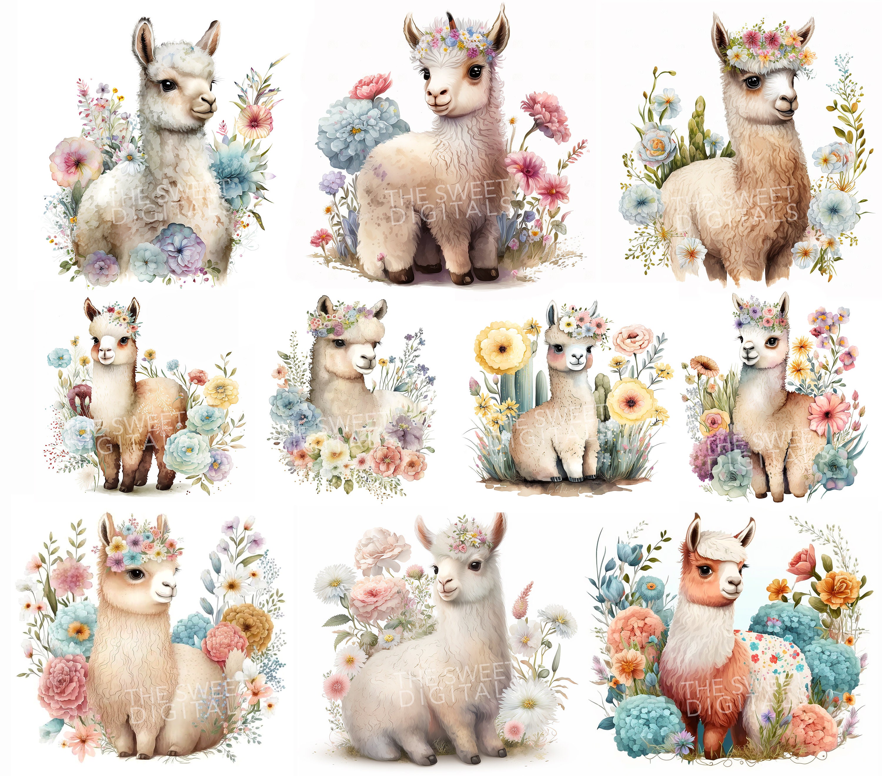 Watercolor Llamas, Clipart Pack, Baby Llamas, Clip Art for Commercial ...