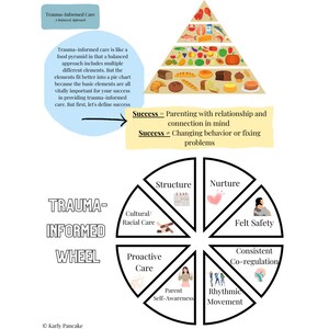 Trauma-informed Care: A Simple Guide - Etsy