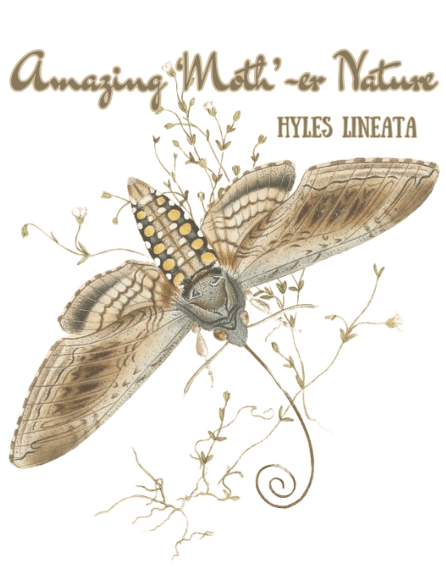 HUMMINGBIRD MOTH, Mother Nature, Nature Lover, Gift for Her, Gift for ...