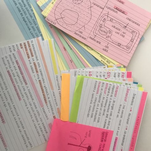 TutorNotes - Etsy