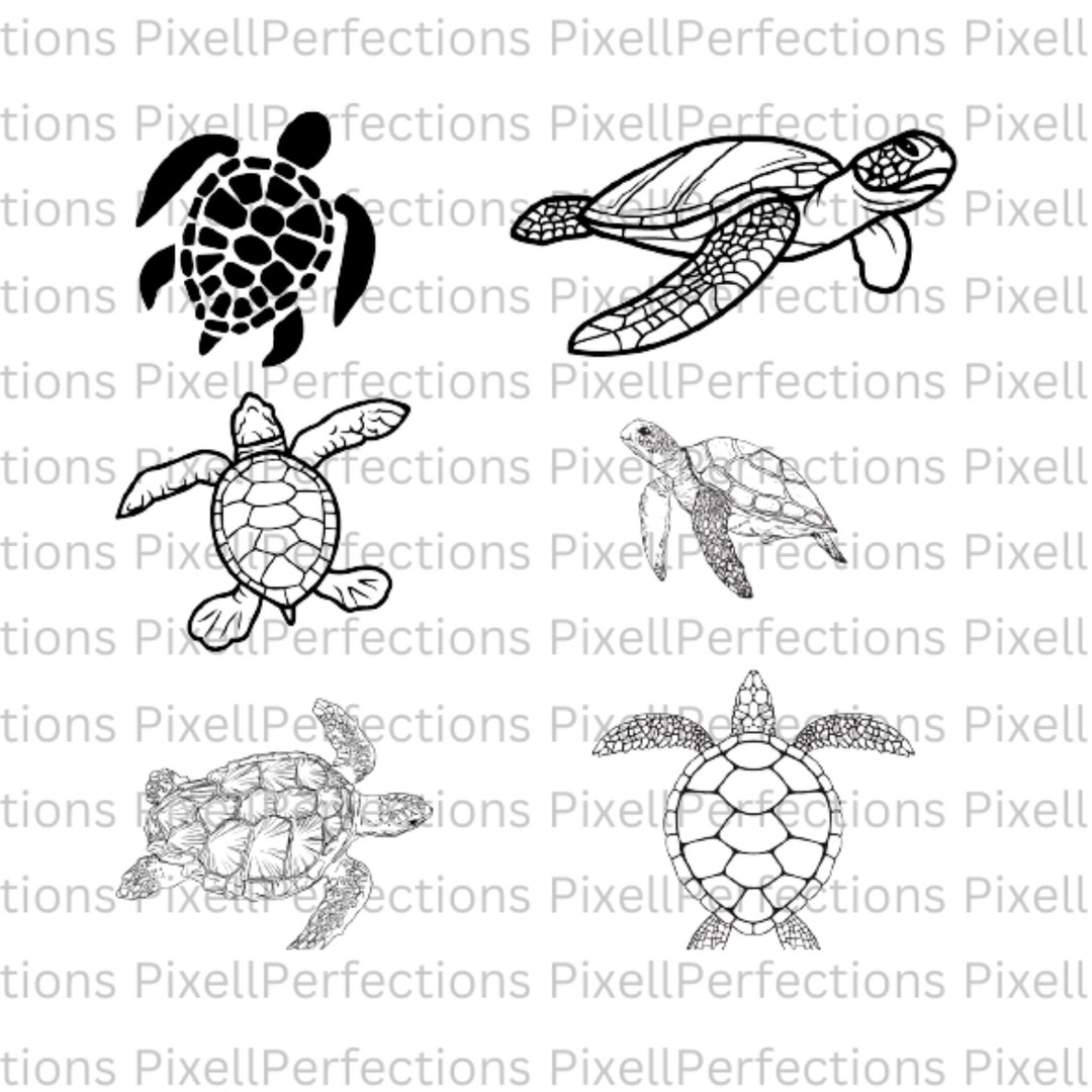 Sea Turtle Svg Bundle, Sea Turtle Png, Ocean Svg, Sea Turtle Clipart ...