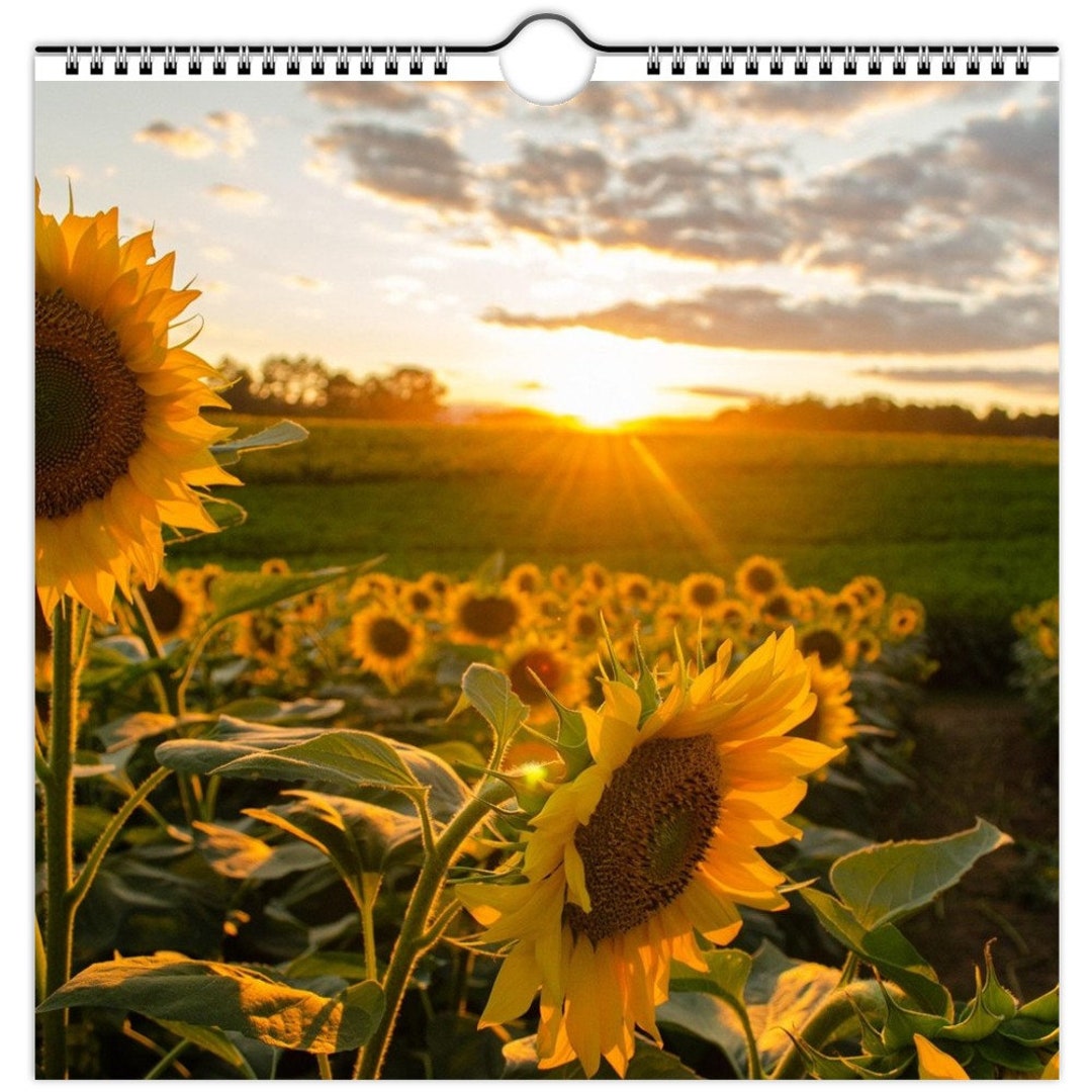SUNFLOWERS Wall Calendars - Etsy