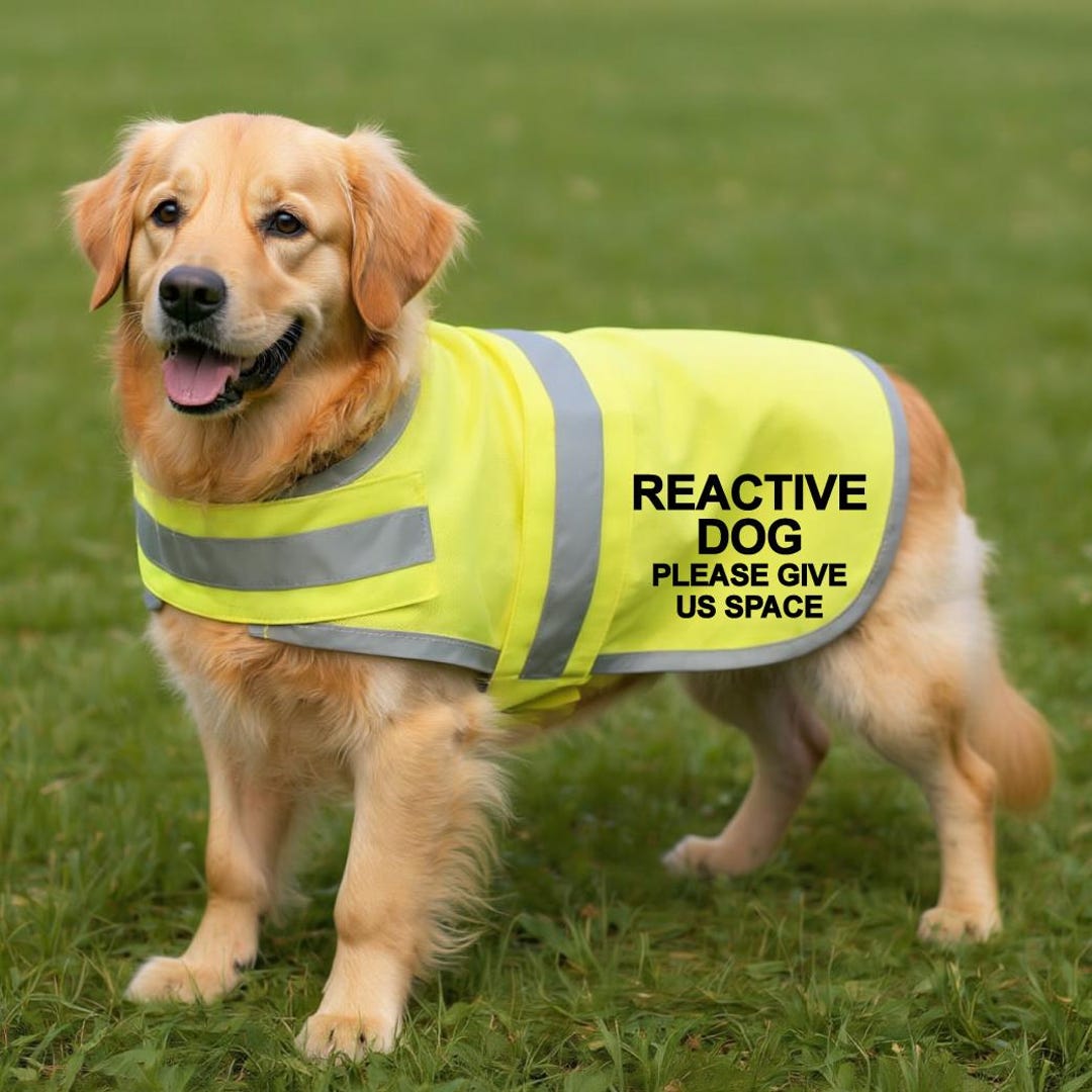 DOUBLE SIDED Hi Vis Dog Vest Reflective Safety Vest REACTIVE Dog Please ...