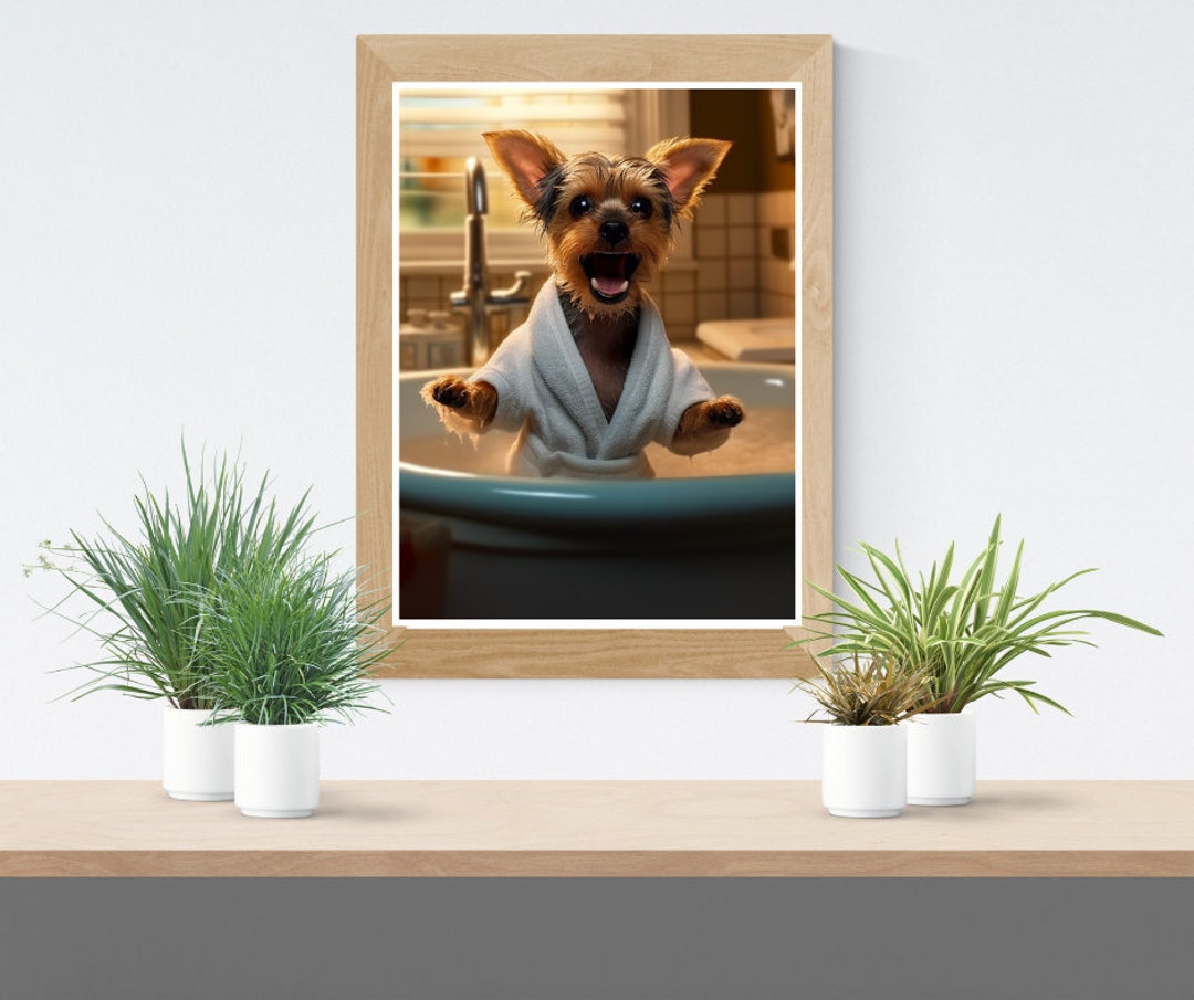 Yorkshire Terrier Growling Portrait, Cute Dog Growling, Cute Dog ...