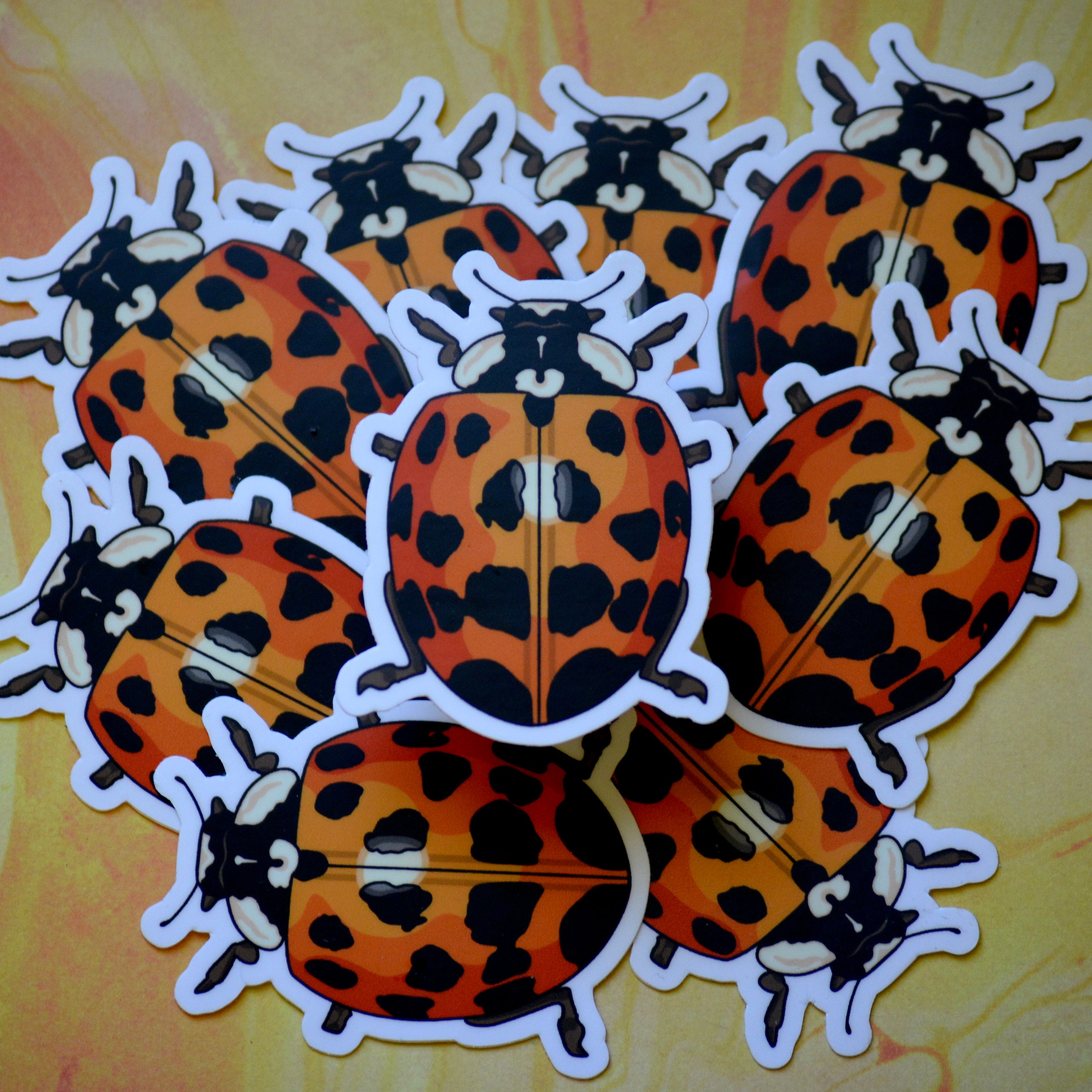 Ladybug Vinyl Waterproof Sticker Decal - Etsy
