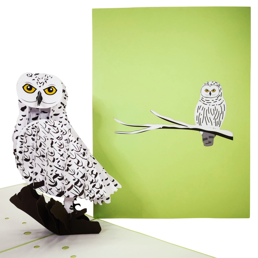 Snow Owl Pop-up Card - Etsy