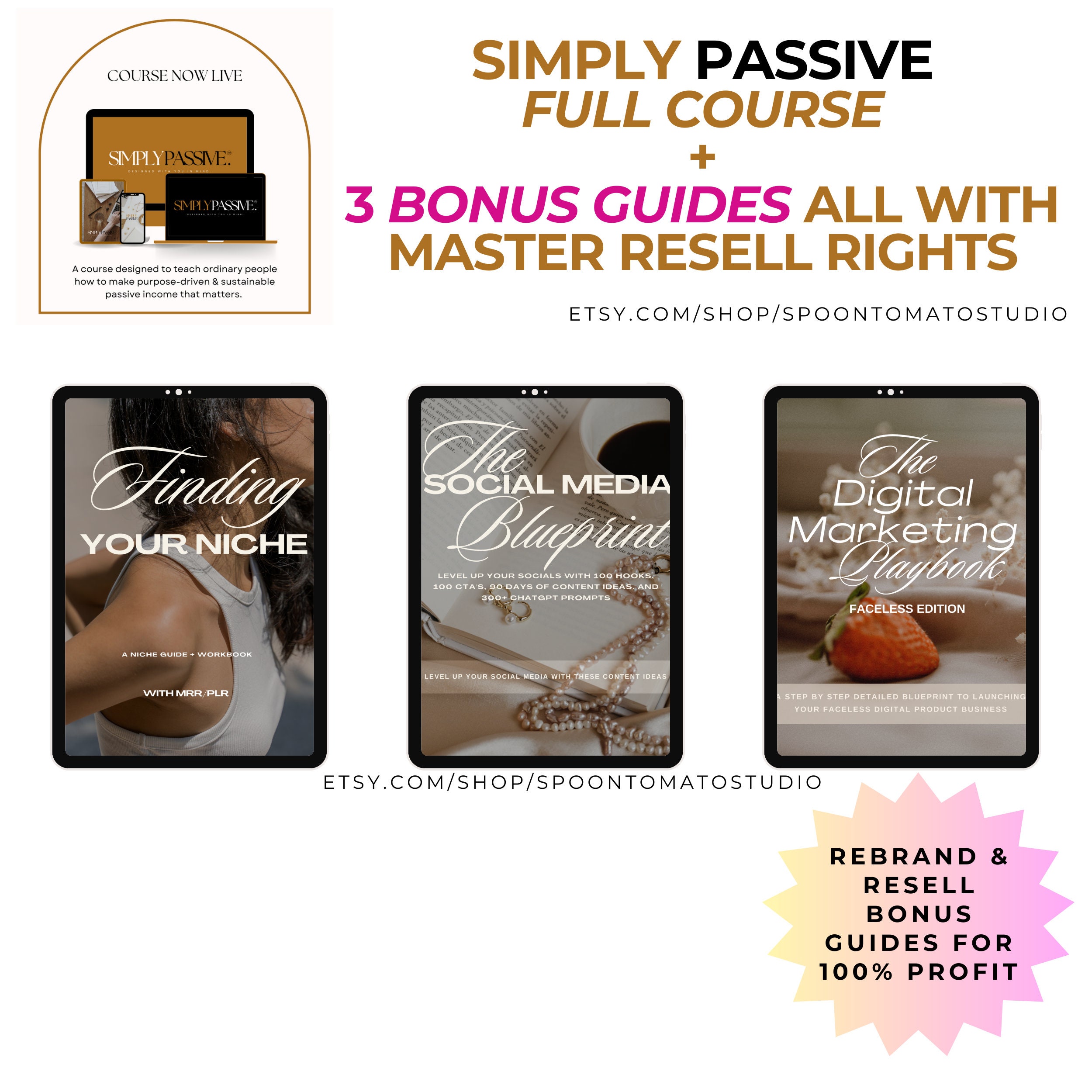 Simply Passive, Digital Marketing FULL Course & Guide, MRR Master ...