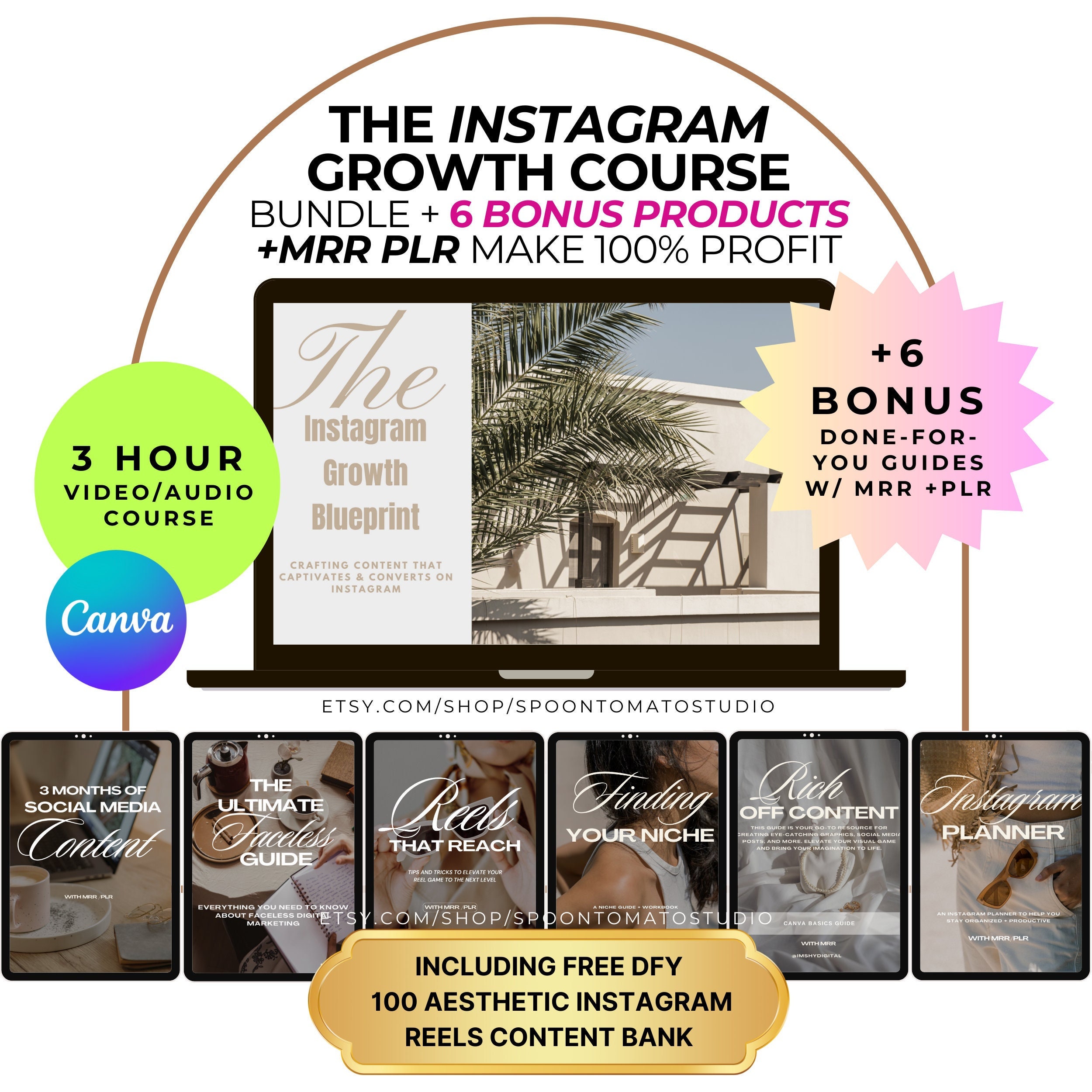 The Instagram Growth Blueprint Mini Course, Strategy Guide With Master ...