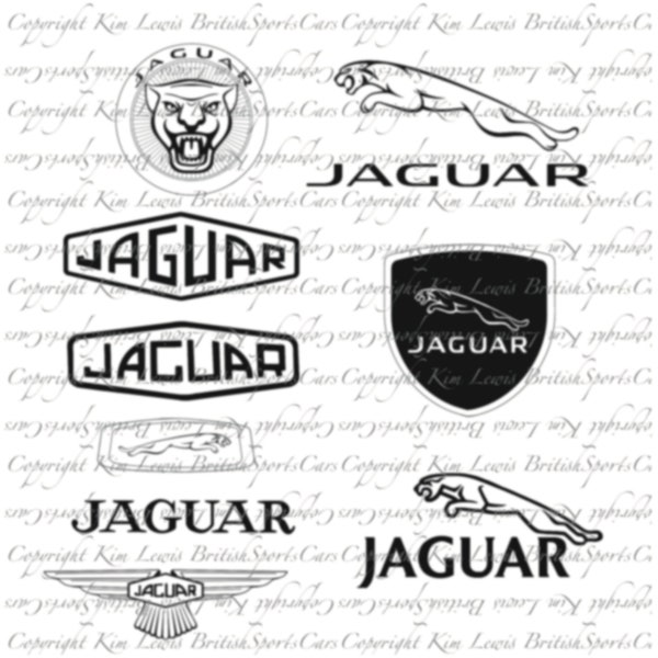 Jaguar - Etsy