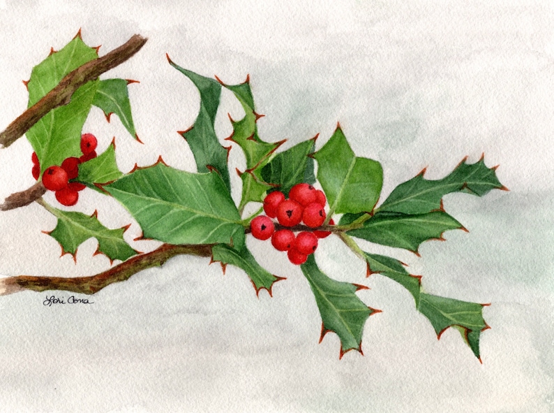 Holly Christmas Cards - Etsy