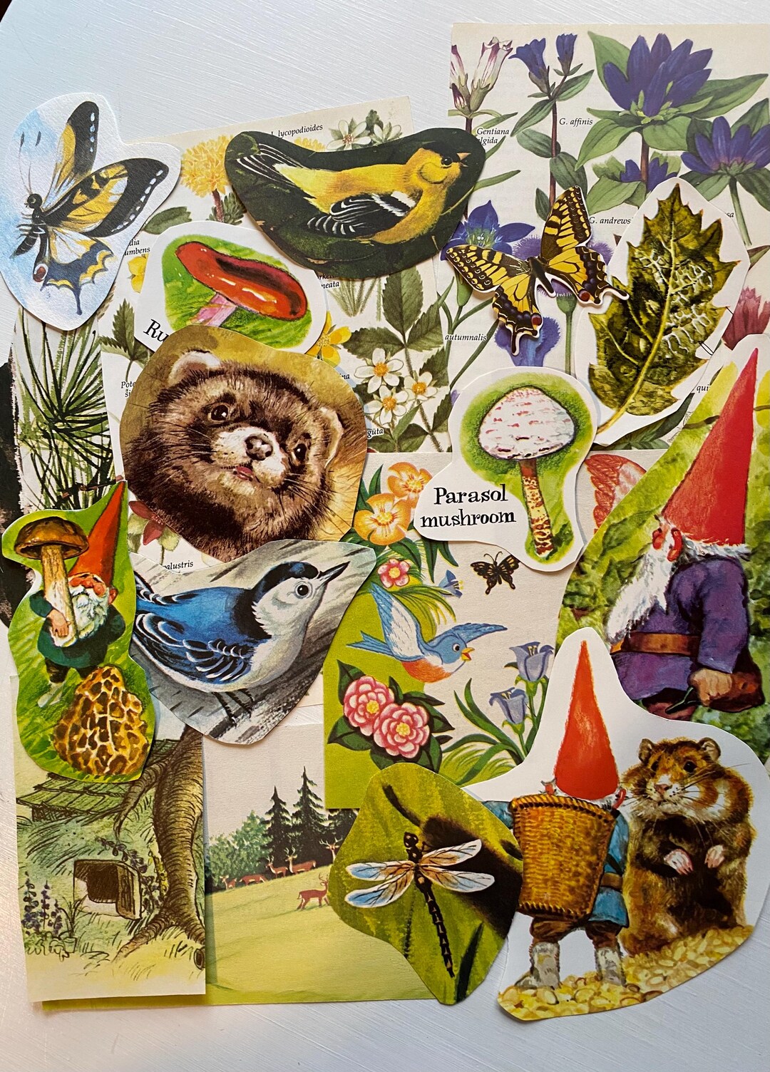 Cottage Core 30 Pieces Ephemera Pack Cutout Vintage Paper Flowers Birds ...