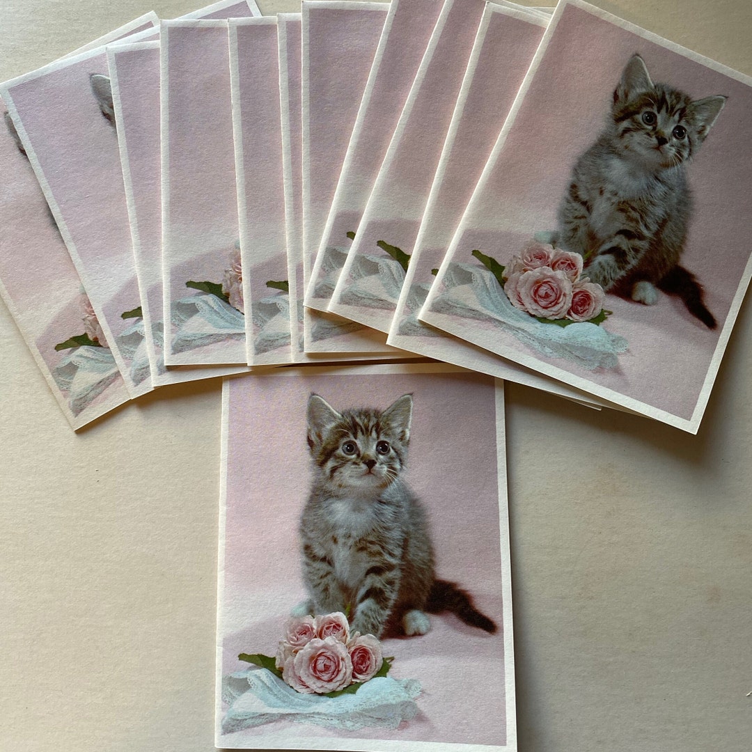 Set of 12 Vintage Kitten Cards With Envelopes Hallmark Cards 1980's ...