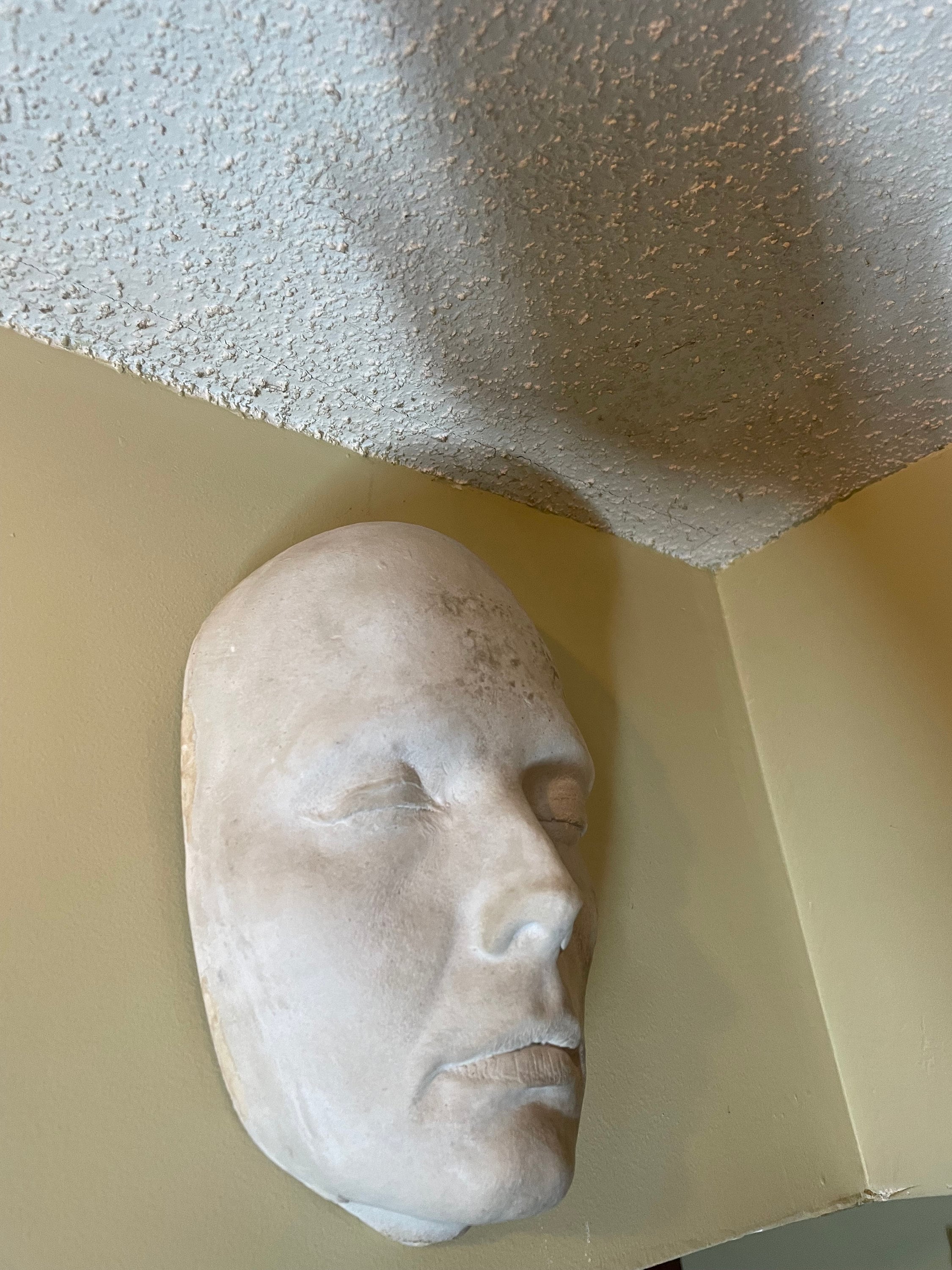 Michelle Pfeiffer Plaster Face Cast - Etsy