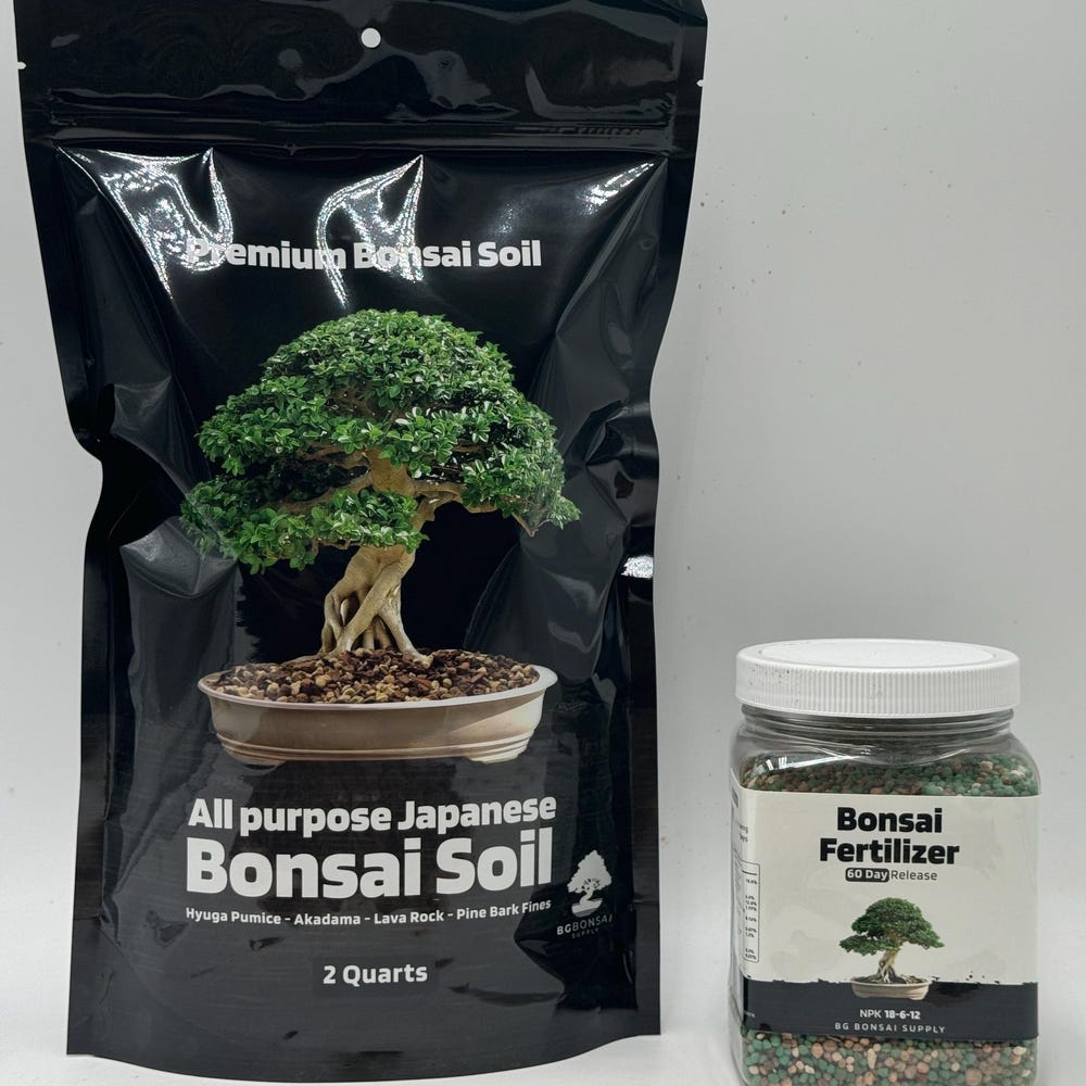BGBonsaiSupply - Etsy