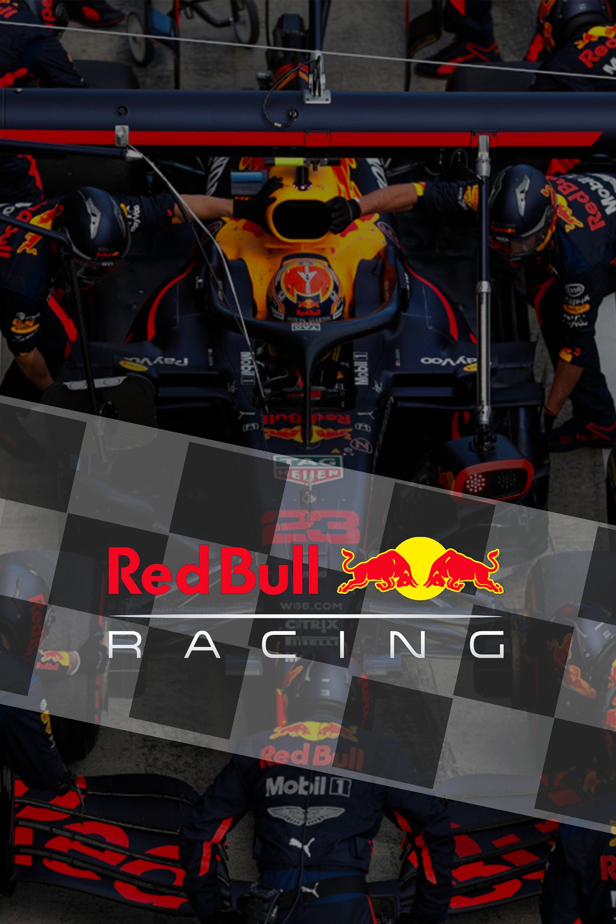 RED BULL Racing Poster Worlds Champion - Etsy